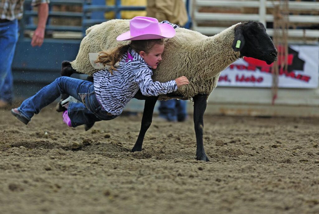 Sac-Town Rodeo – Sac-Town Rodeo