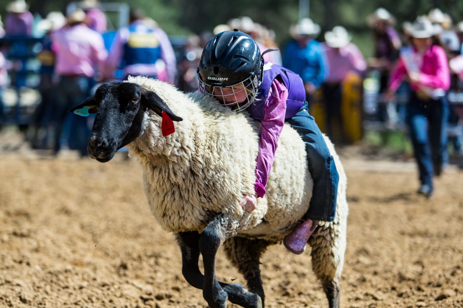 Sac-Town Rodeo – Sac-Town Rodeo